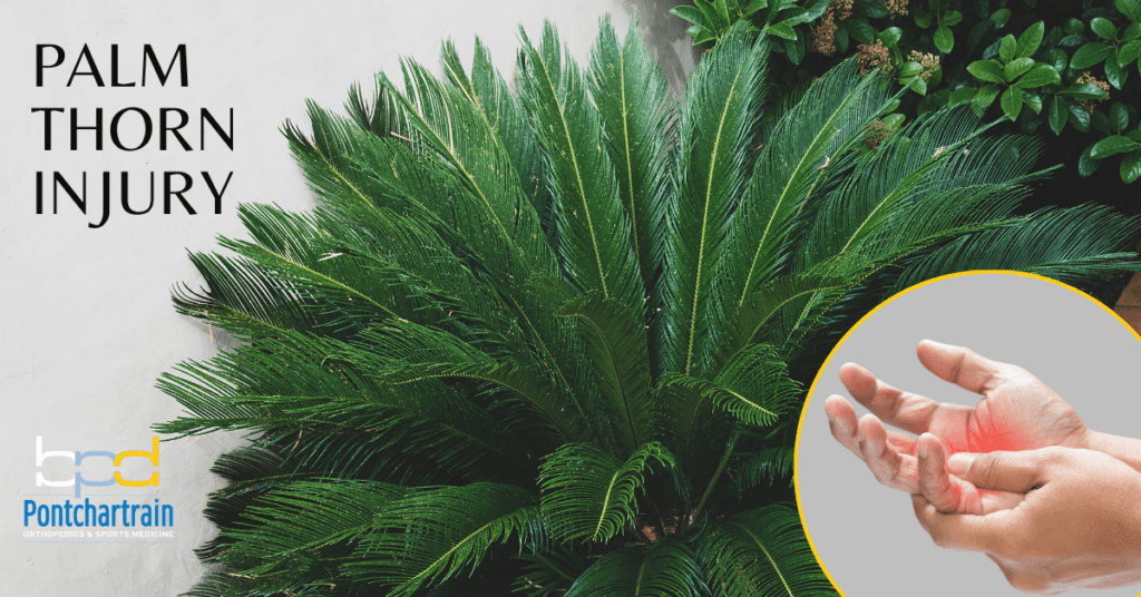 Palm Thorn Injury - Brandon P. Donnelly, MD